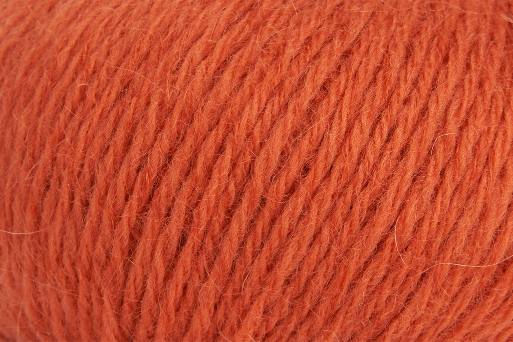 Tiger-913 – Fleece & Harmony PEI